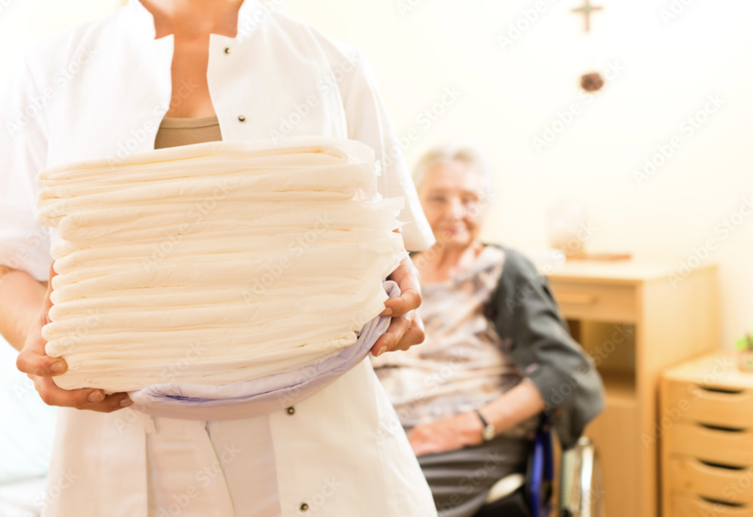 Services – Elders’ Helpers